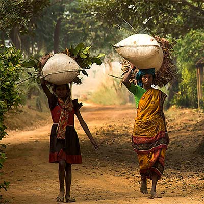 Nature - Earth Exponential