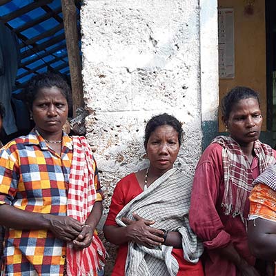 Nature - Earth Exponential