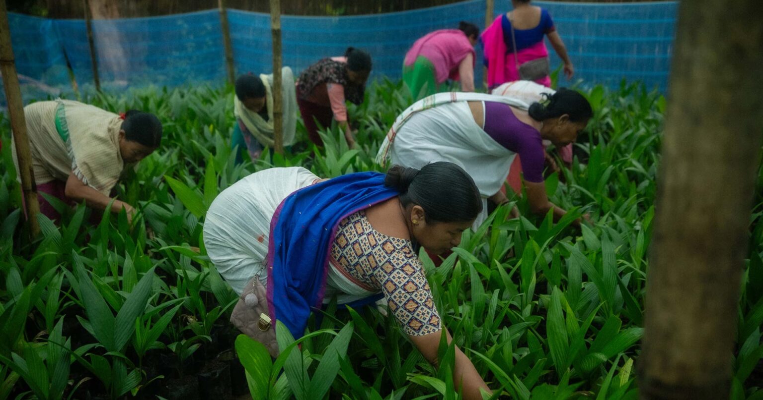 Fund Verified, Innovative Climate Projects | Earth Exponential